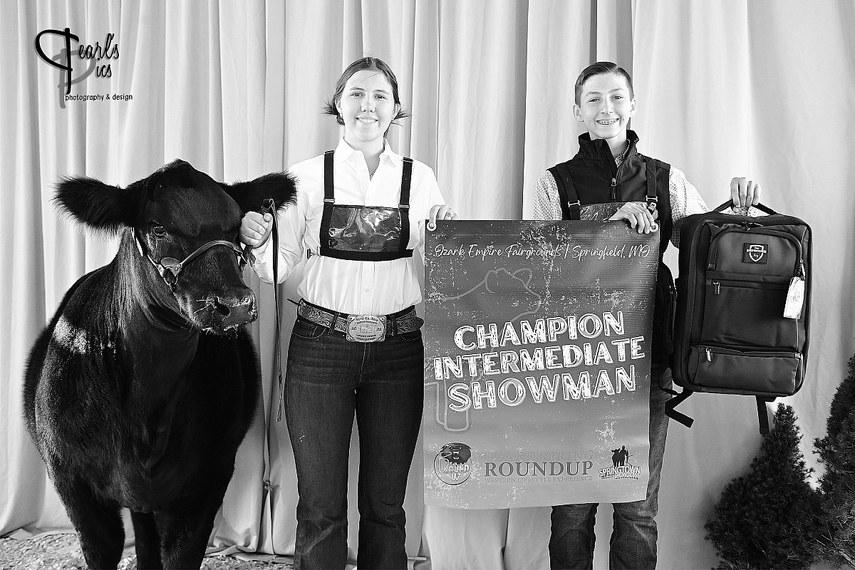 2024 Springfield Trio || Shows and Fairs || pearlspics.com