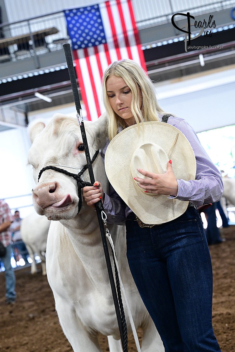 2025 Charolais Junior Nationals || Shows and Fairs || pearlspics.com